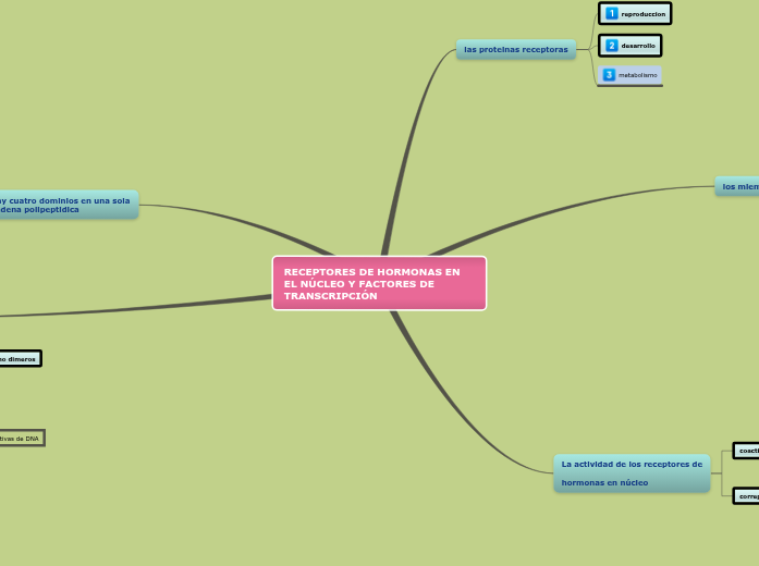 RECEPTORES DE HORMONAS EN EL NÚCLEO Y FACT...- Mind Map